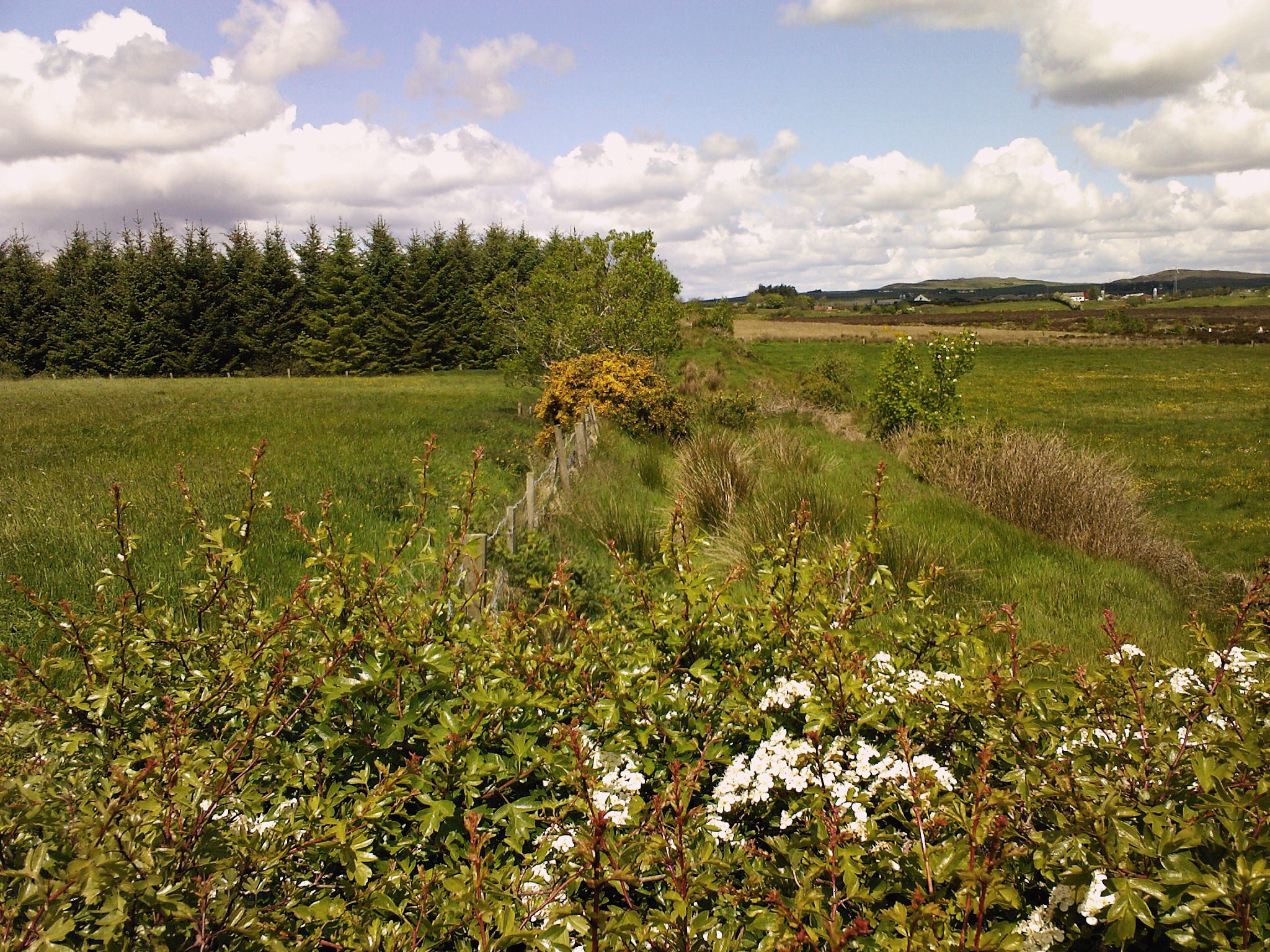 Pomeroy | Tyrone Tribulations