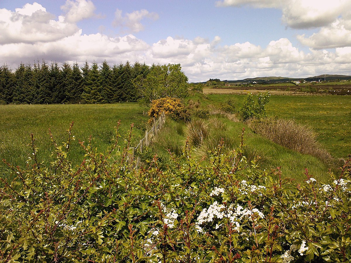 Mountains Of Pomeroy Slated On Tripadvisor For Being ‘Not All That ...